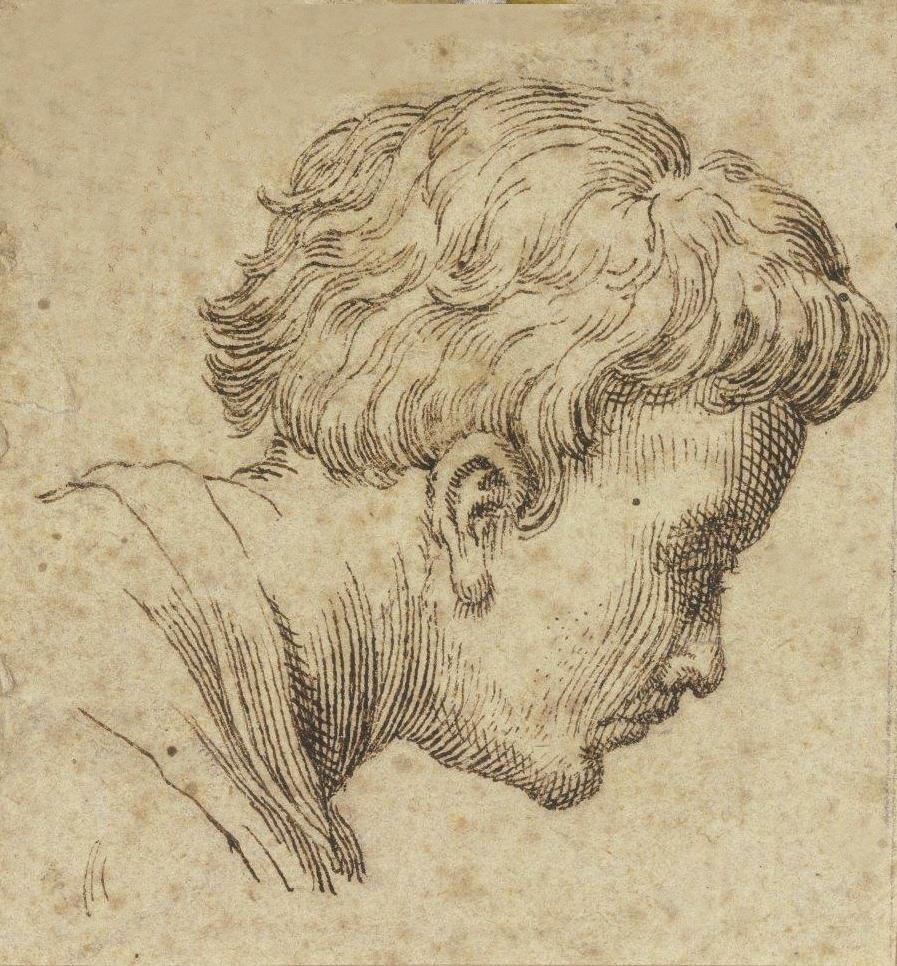 Profil masculin, 1550, Hendrick Goltzius - De Main de Maître